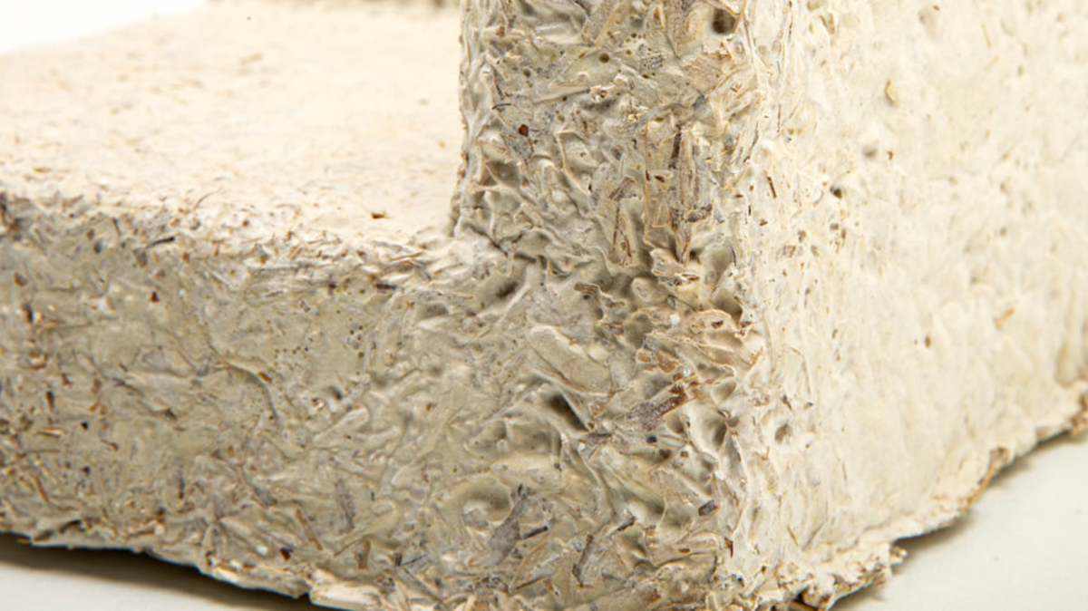 WDO | Nature as the Ultimate Designer